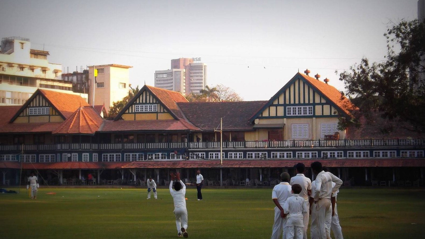CRICKET-WALK – What's Next?