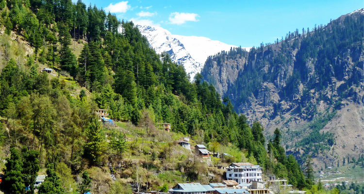 summer-hill-shimla-tourism-opening-time-closing – What's Next?